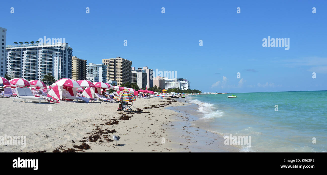 Tropical paradise miami hi-res stock photography and images - Alamy