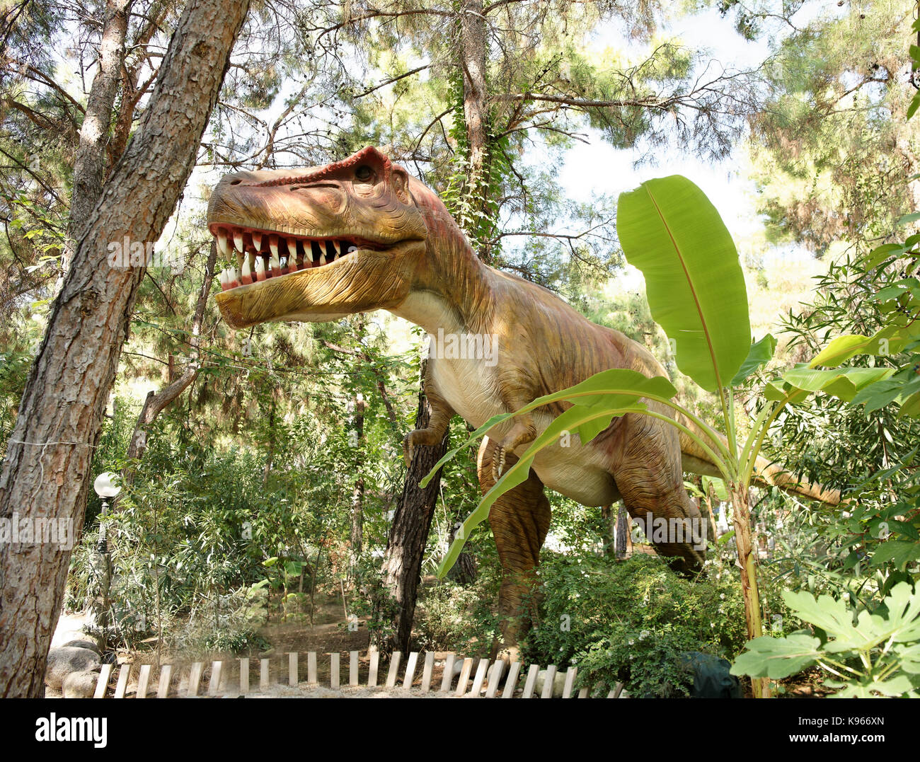T rex prehistoric scene hi-res stock photography and images - Alamy