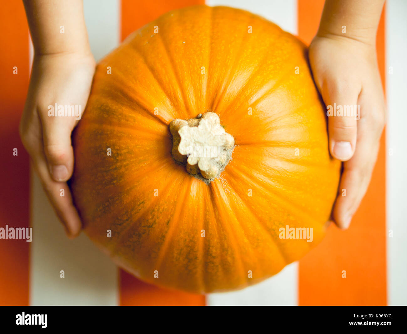 child hands holding pumpkin Stock Photo - Alamy