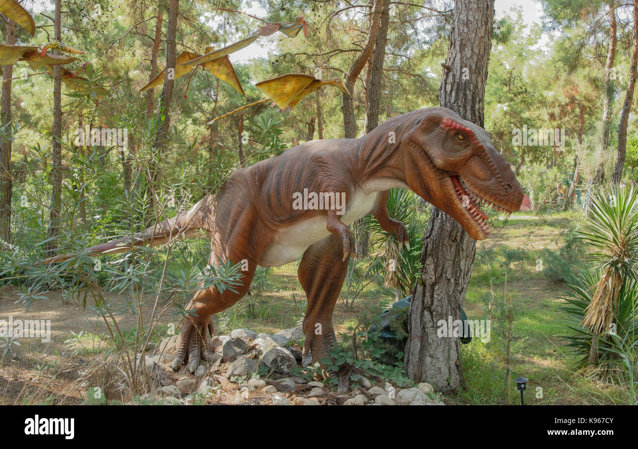 150 million years old hi-res stock photography and images - Alamy
