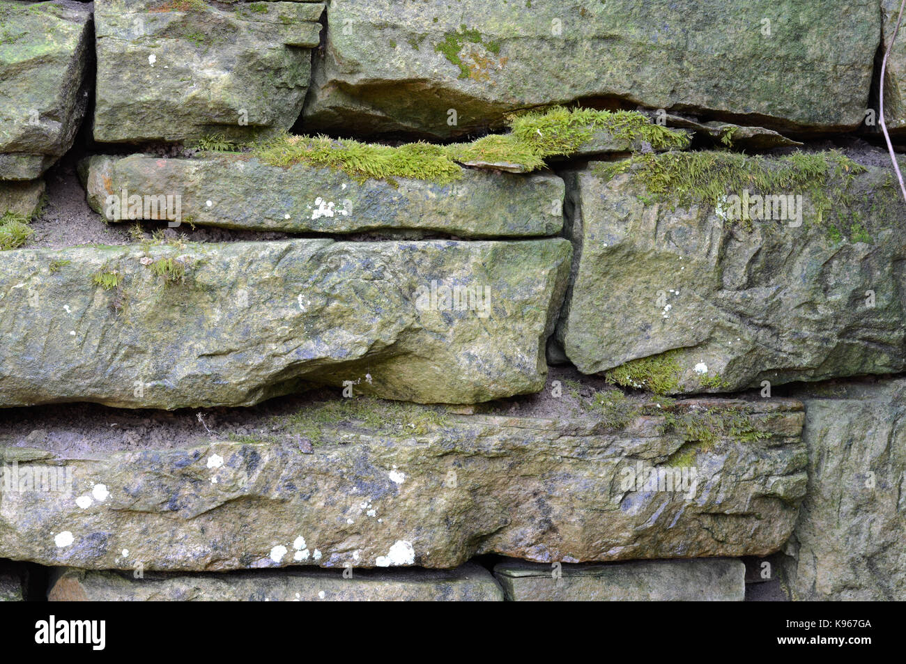 Cover of moss hi-res stock photography and images - Alamy