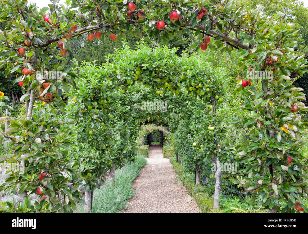 Fruit tree tunnel arch hi-res stock photography and images - Alamy