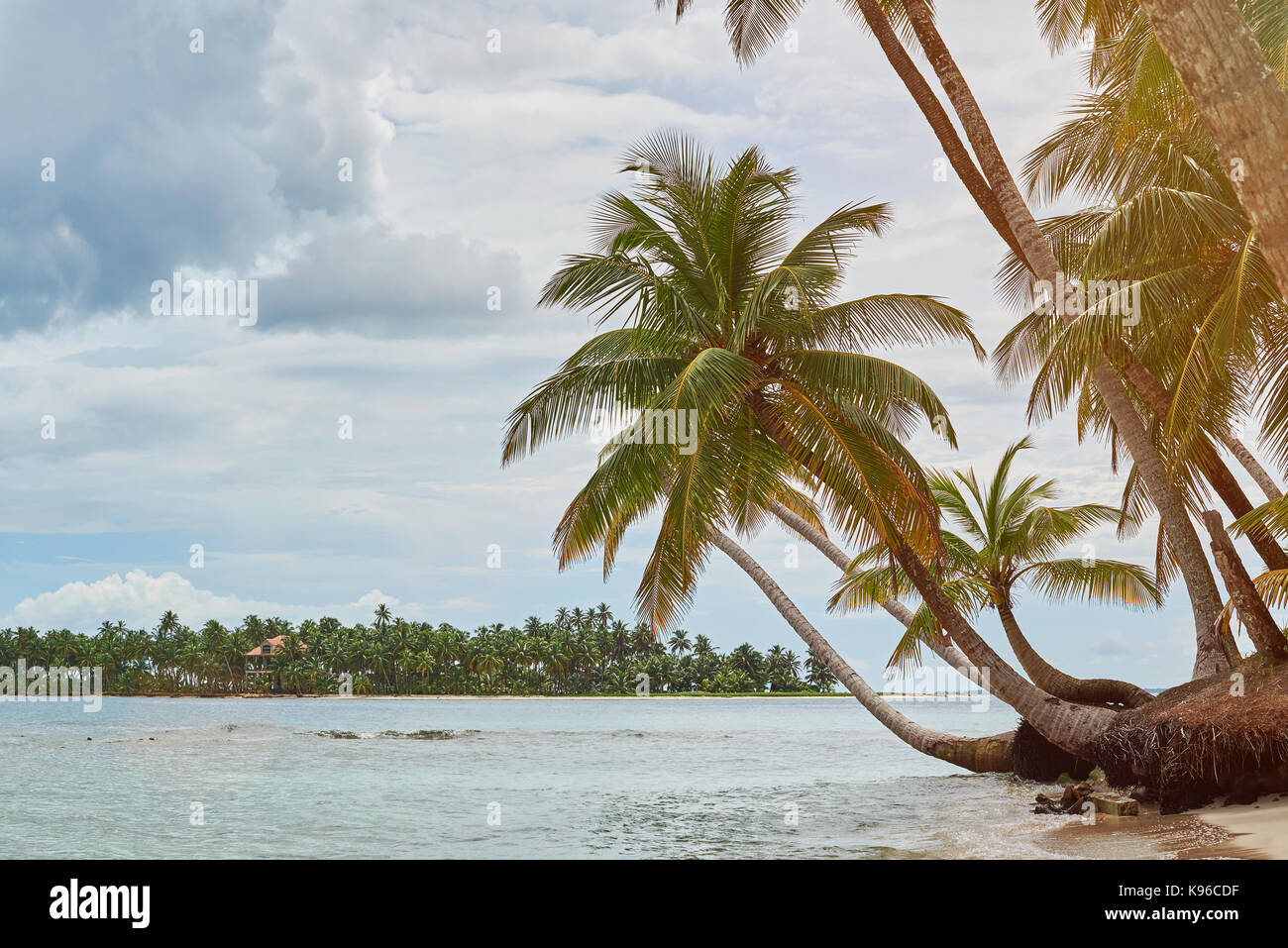 Beach palm sea tropical hi-res stock photography and images - Alamy