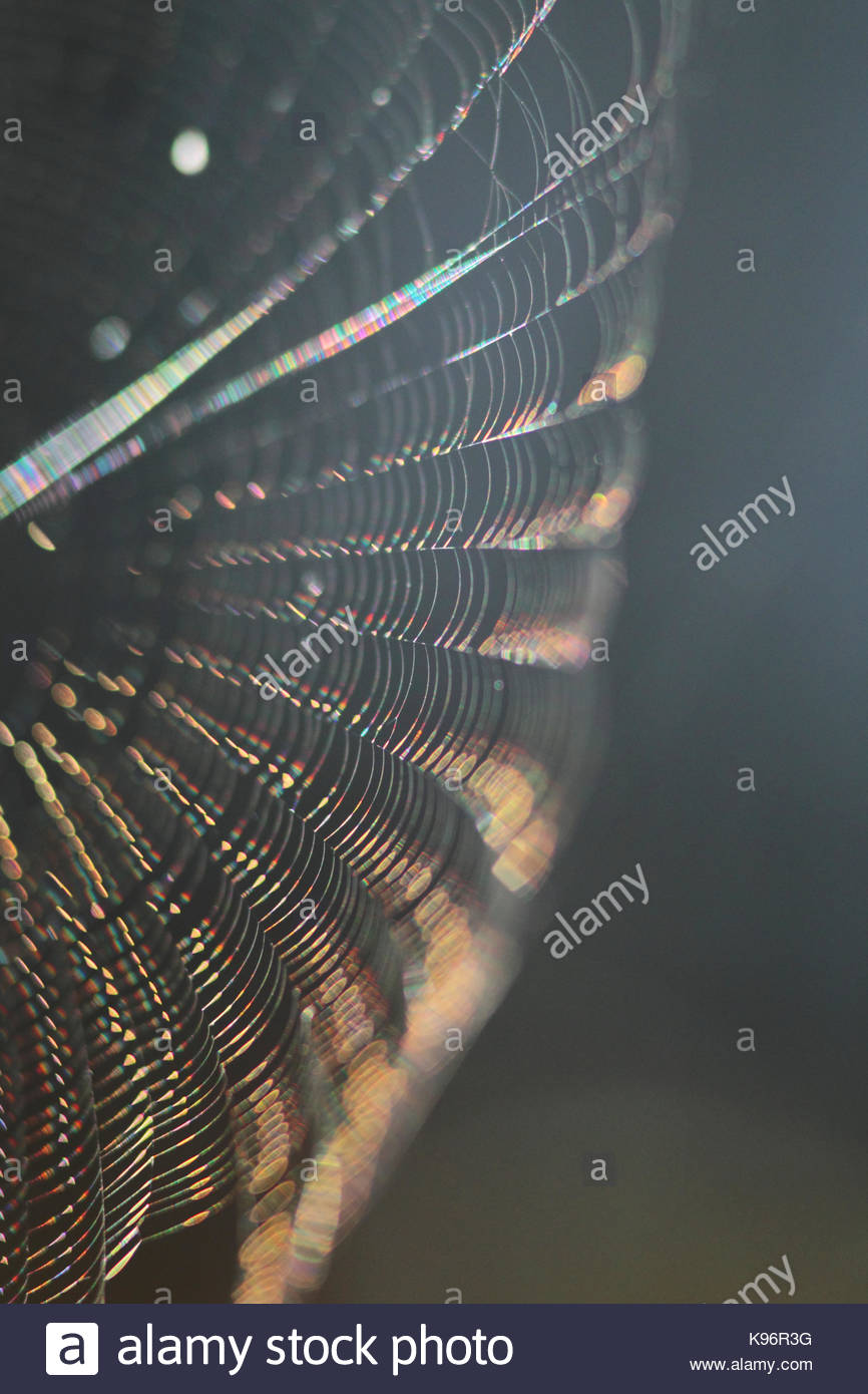 Photography High Resolution Stock Photography and Images - Alamy