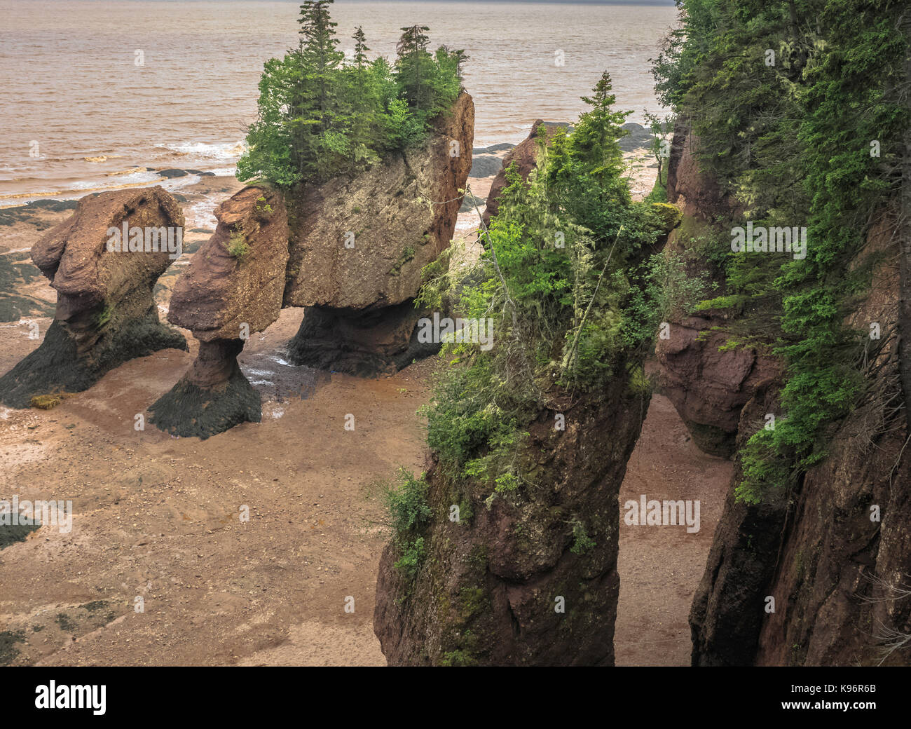 Looking down onto flowerpot rocks at low tide from the observation deck ...