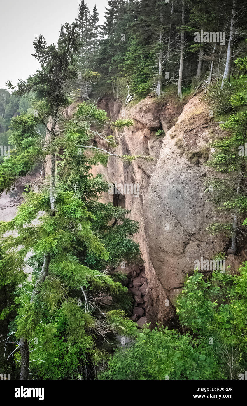 Rugged terrain and high cliffs along Bay of Fundy's shore, New ...