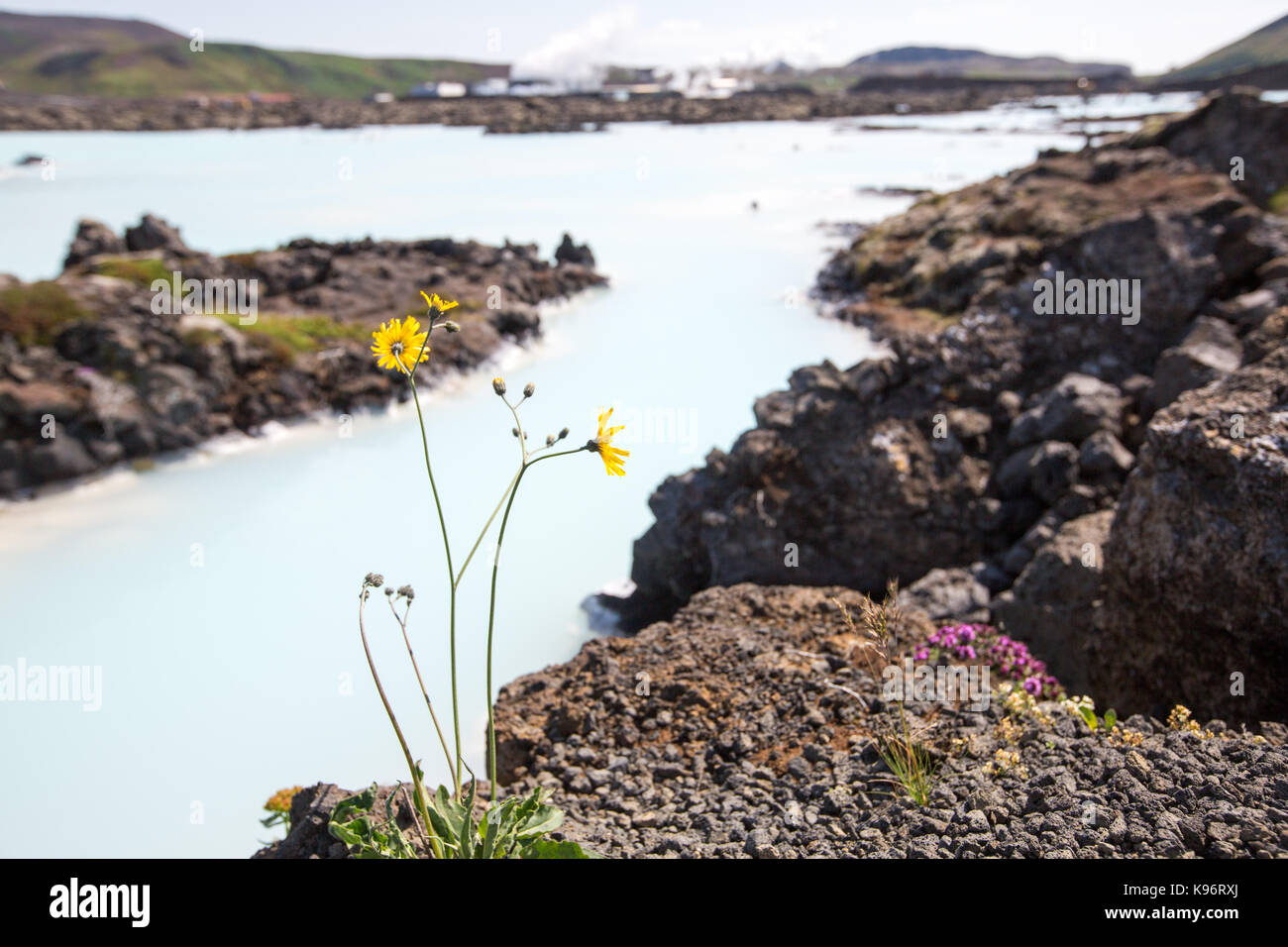 Hot spring water blue lagoon hi-res stock photography and images - Alamy