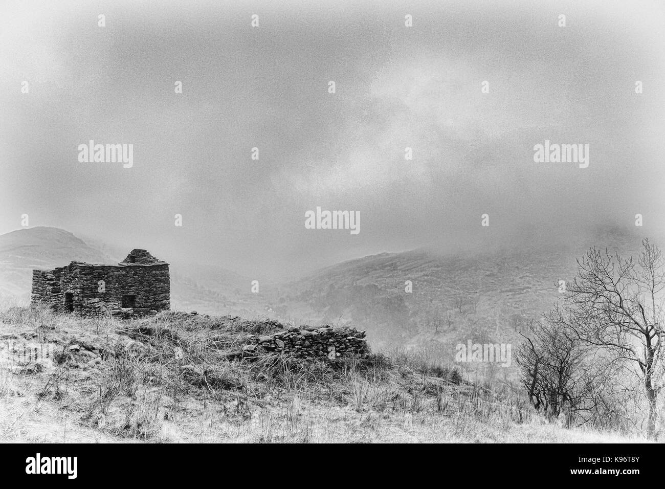 Wet windy hi-res stock photography and images - Alamy