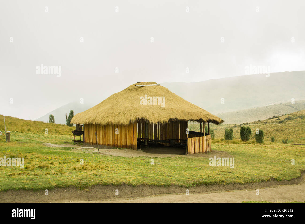 Panoramic view at the Pichincha volcano, with some native andes plants ...