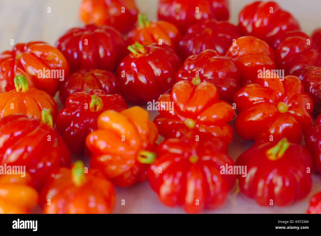 Pitangas hi-res stock photography and images - Alamy