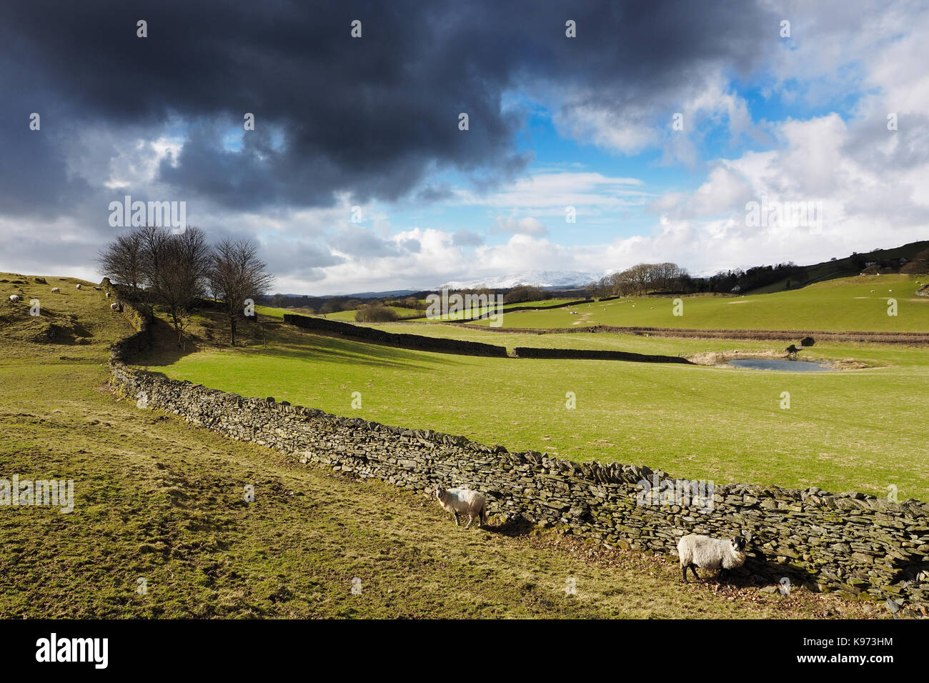 Crook lake district hi-res stock photography and images - Alamy