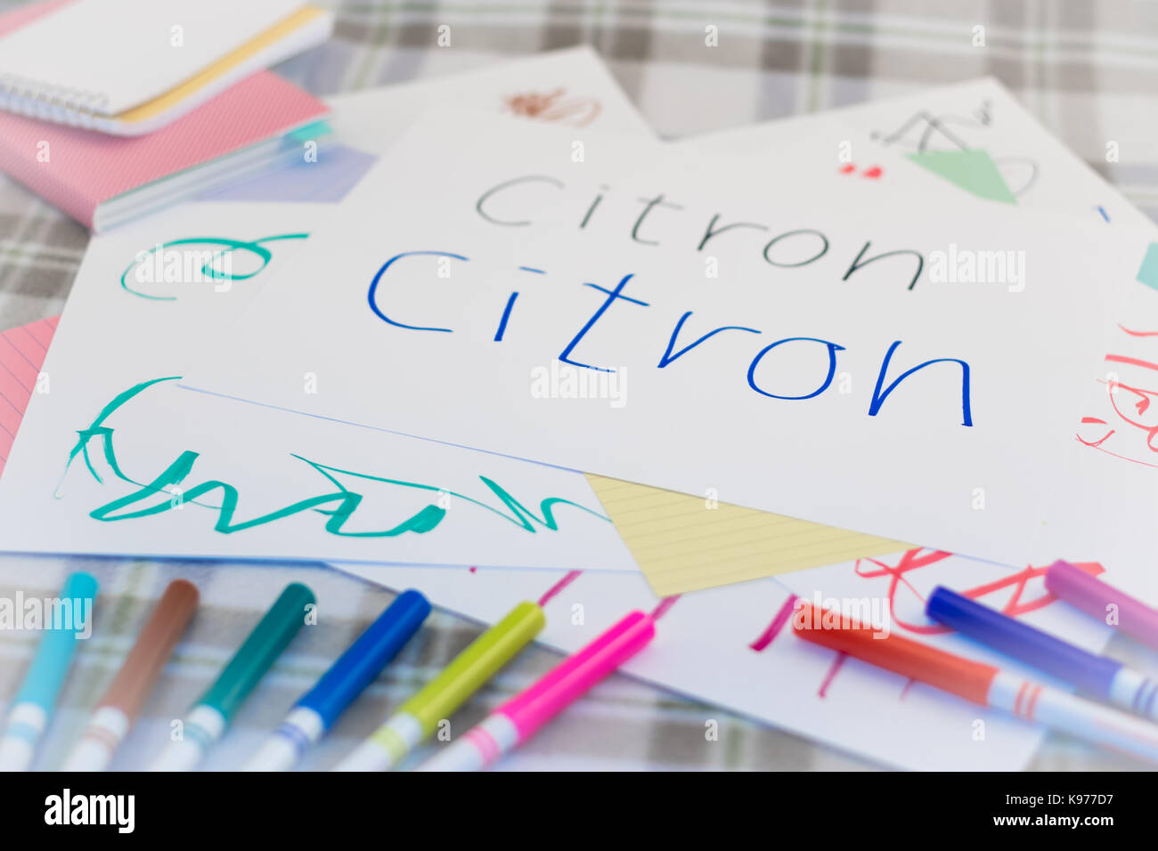 French; Kids Writing Name of the Fruits for Practice (Translation ...