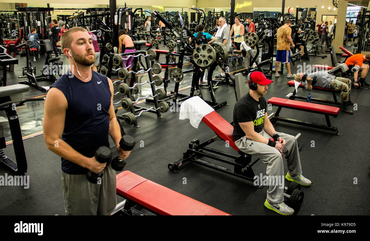 Shots of people at the Gym working out Stock Photo - Alamy