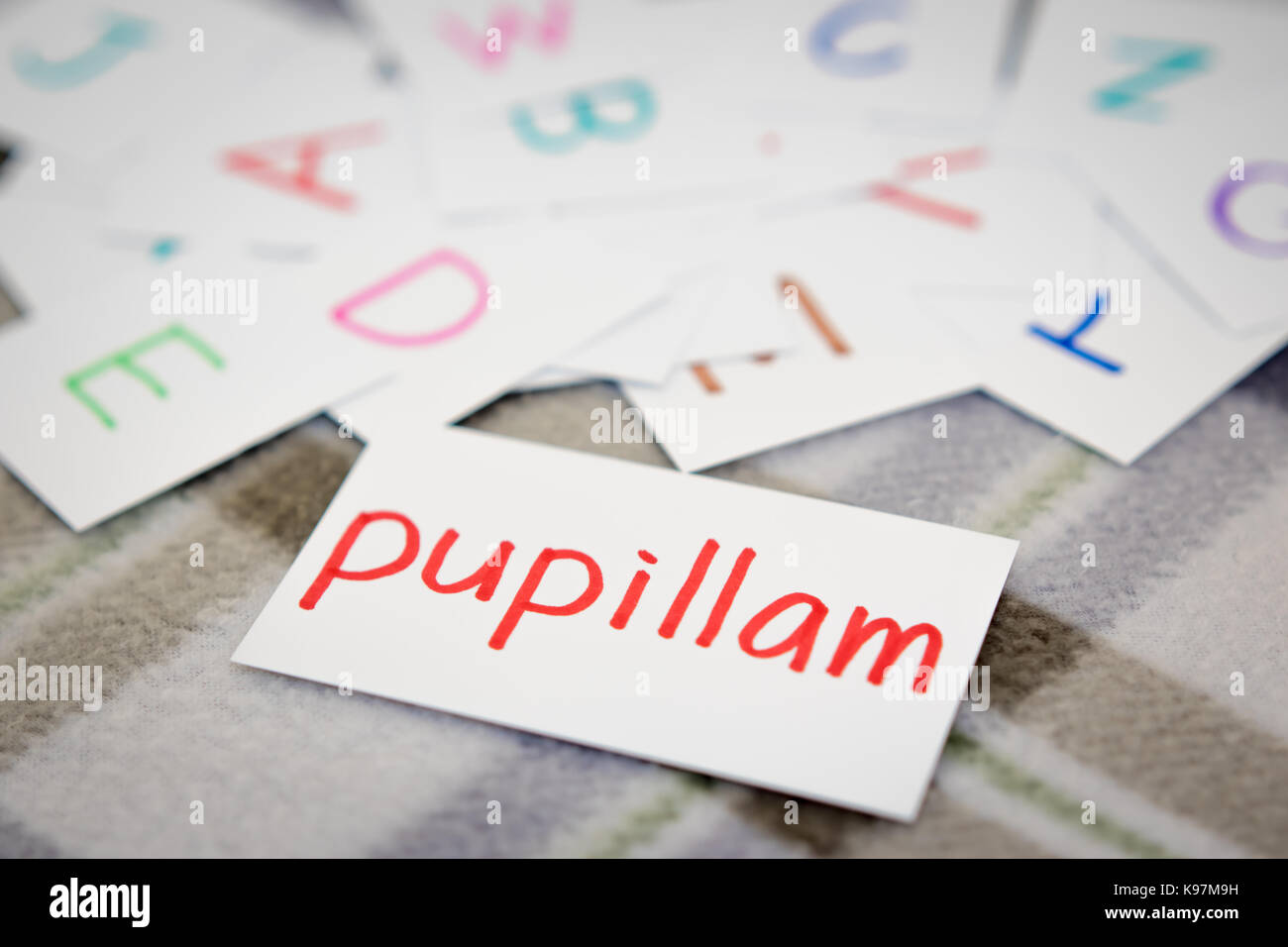 Latin; Learning the New Word with the Alphabet Cards (Translation ...