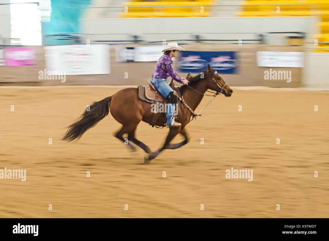 Horse Sports, Ladies National Finals Barrel Race at the Australian ...