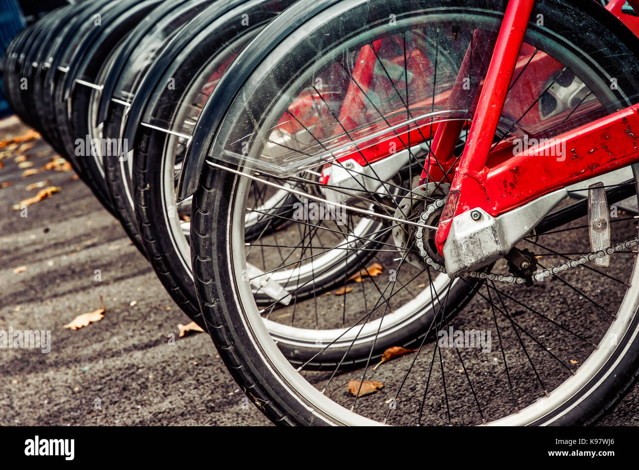 A row of bikes ready to use at a rental stand in northern Virginia ...