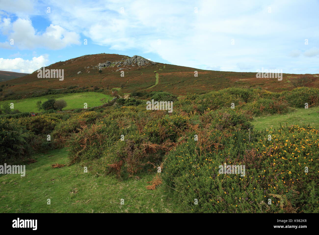 Bell Tor at autumn, Dartmoor, Devon, England, UK Stock Photo - Alamy
