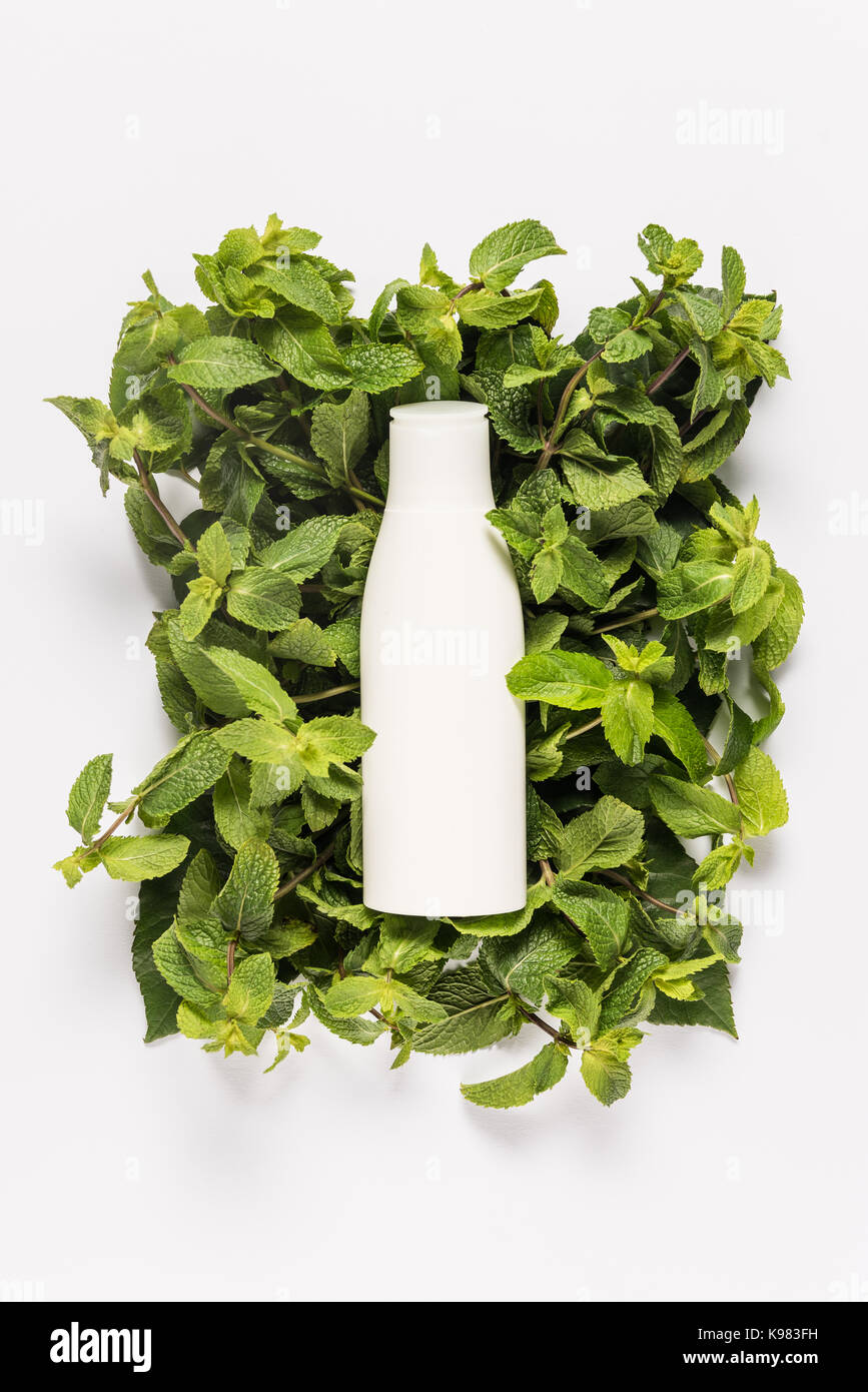 organic mint lotion Stock Photo - Alamy
