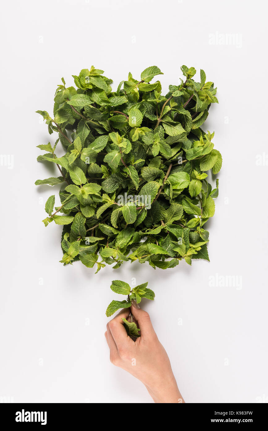 Beauty Woman Mint Leaf High Resolution Stock Photography and Images - Alamy