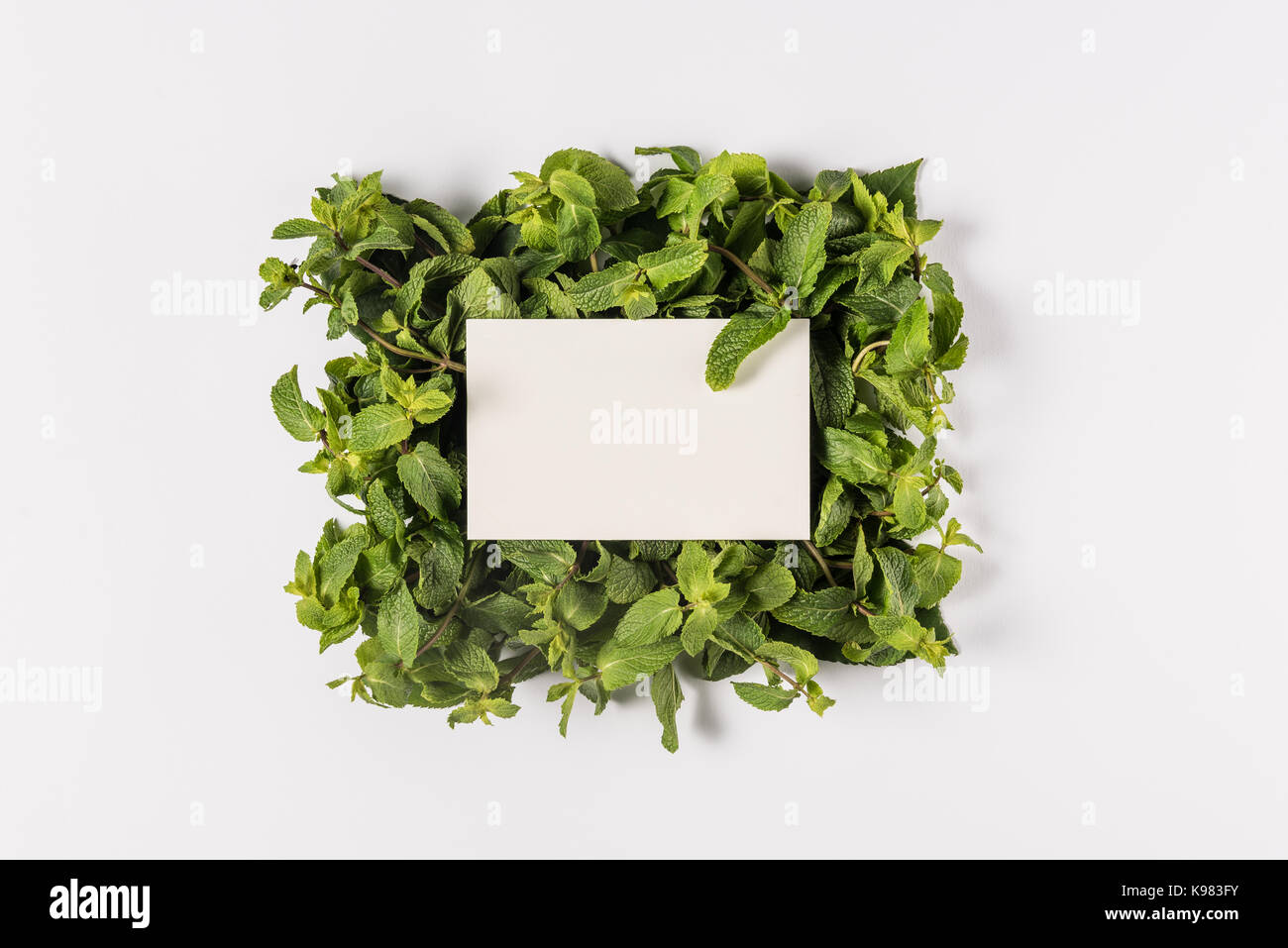 Mint green sign hi-res stock photography and images - Alamy