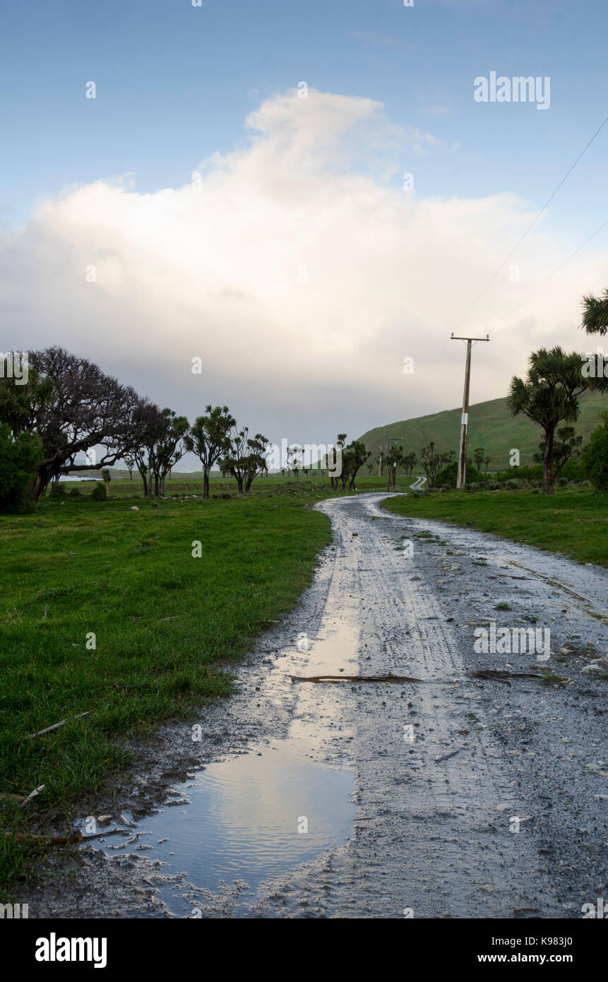 Puddle in gravel road, Glenburn, Wairarapa, North Island, New Zealand ...
