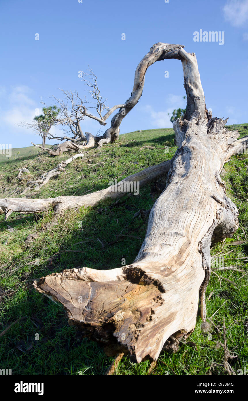Forming an arch hi-res stock photography and images - Alamy