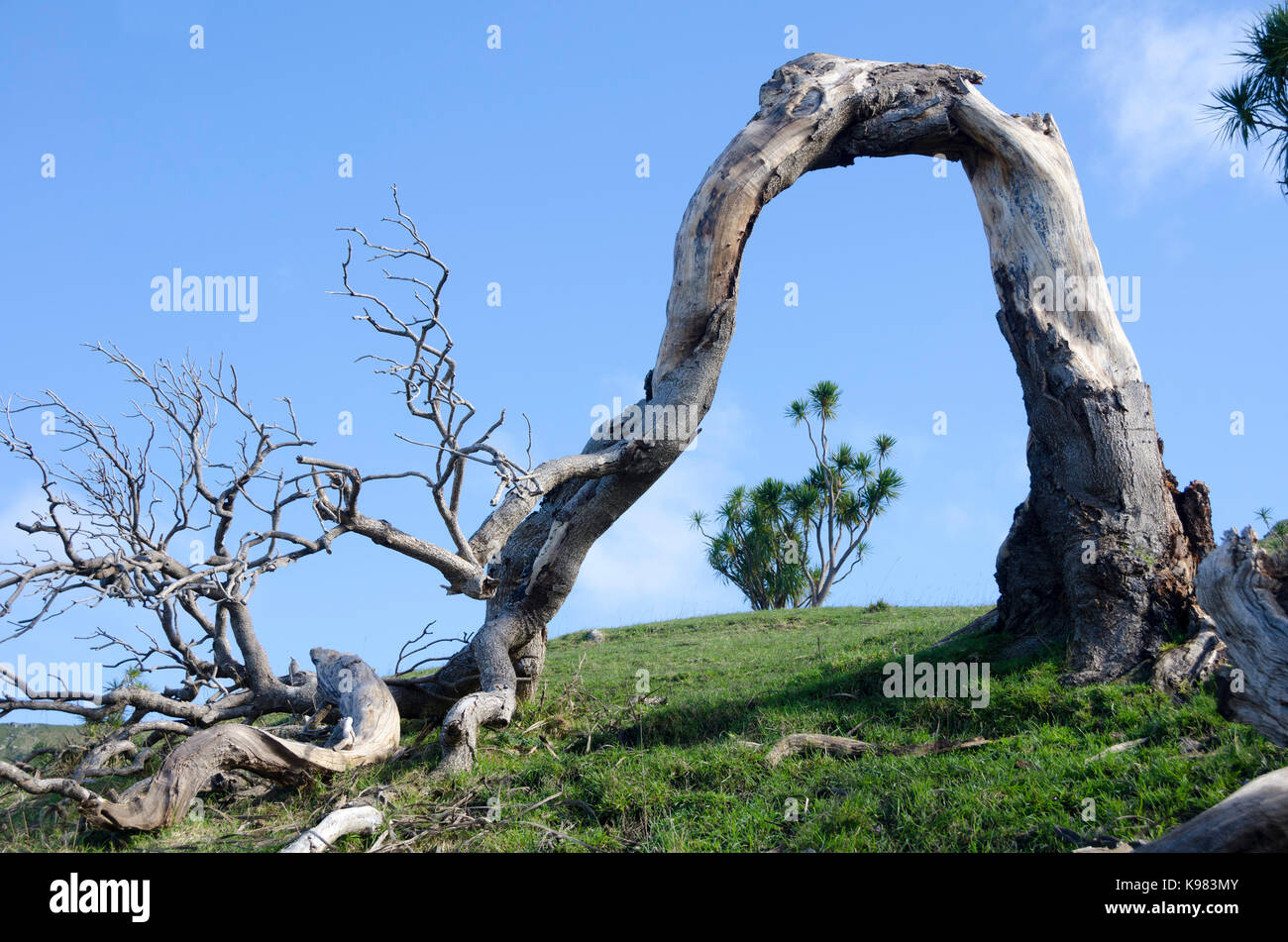 Forming arch hi-res stock photography and images - Alamy