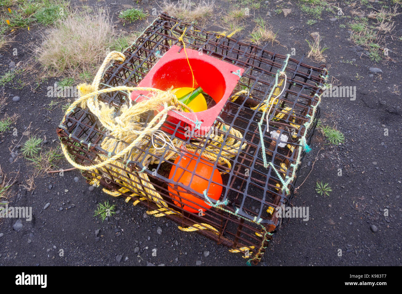 Crayfish pot hi-res stock photography and images - Alamy