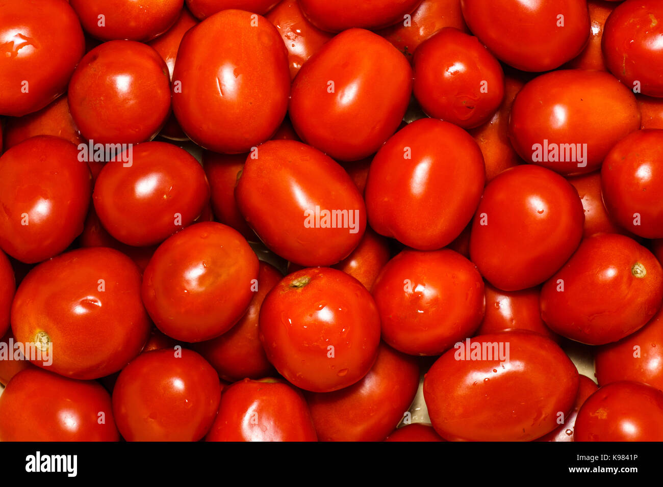 Group of fresh tomatoes. Tomatoes Background. A lot of fresh tomatoes ...