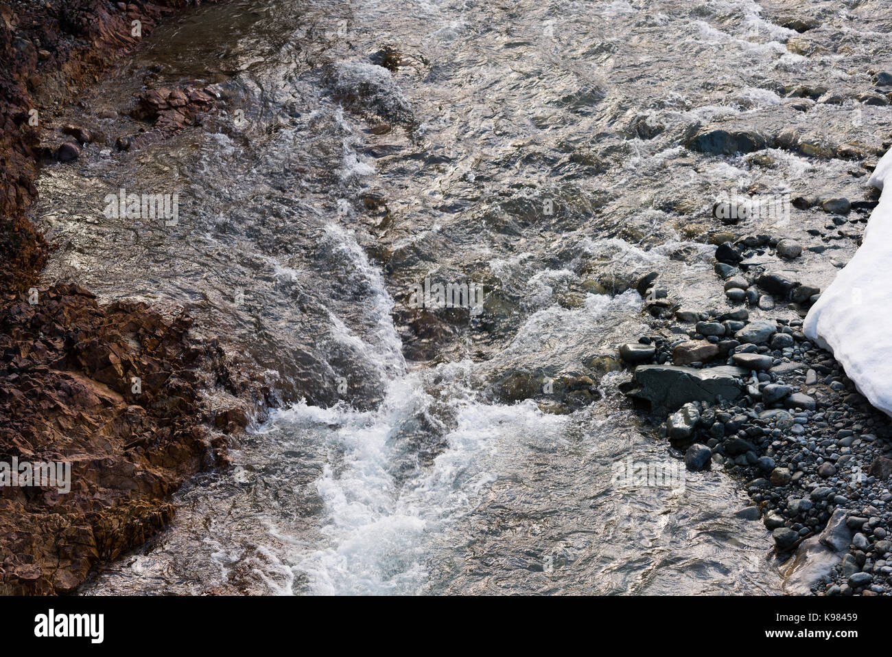 Close-up of river flowing in forest Stock Photo - Alamy