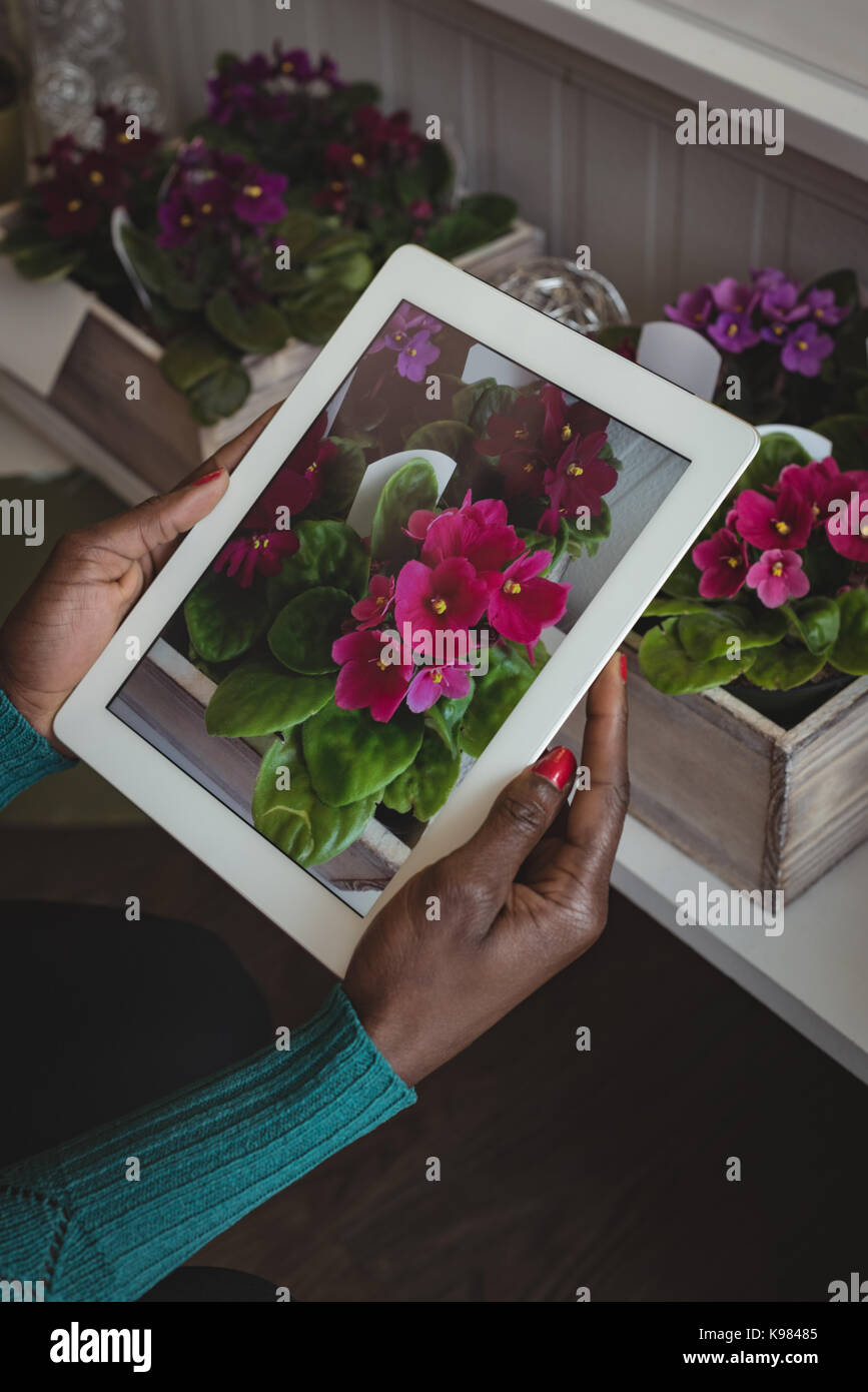Close-up of female florist taking photograph on digital tablet of ...