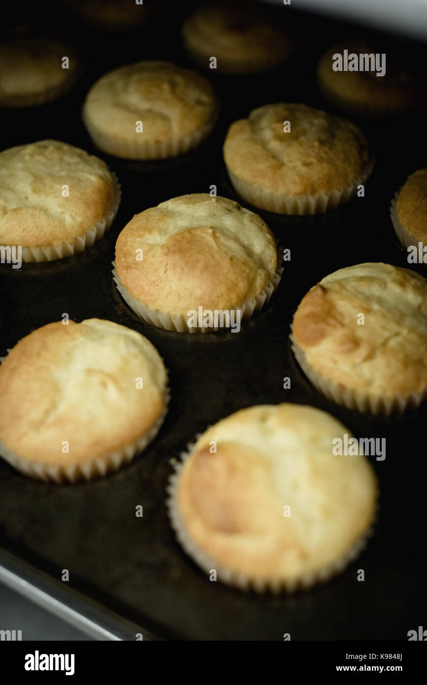 Close-up of freshly baked cup cakes in oven tray Stock Photo - Alamy