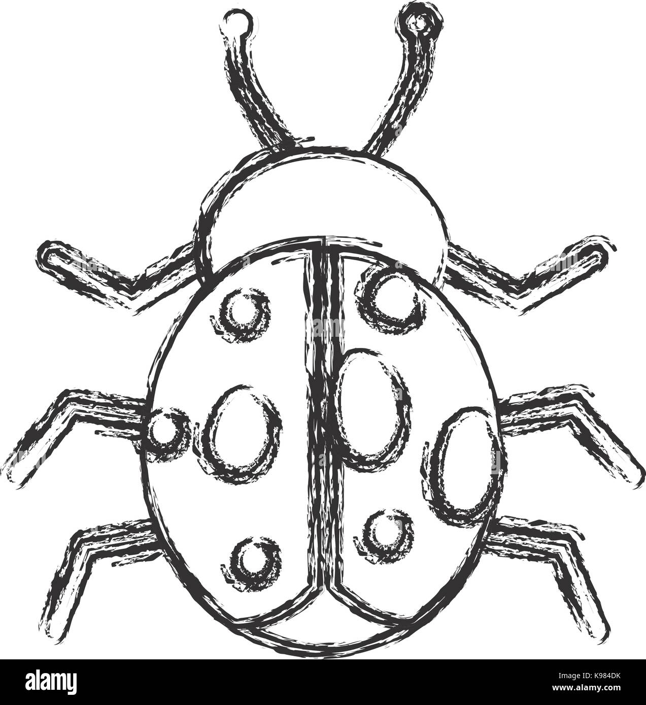 bug icon image Stock Vector Image & Art - Alamy
