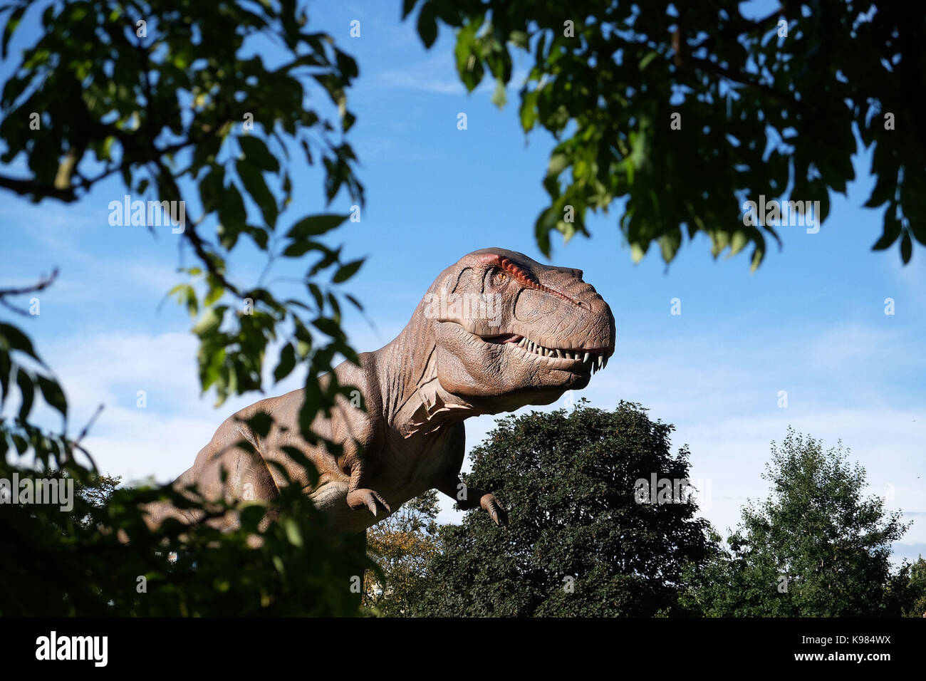 A Tyrannosaurus Rex at Jurassic Kingdom, a pre-historic dinosaur event ...