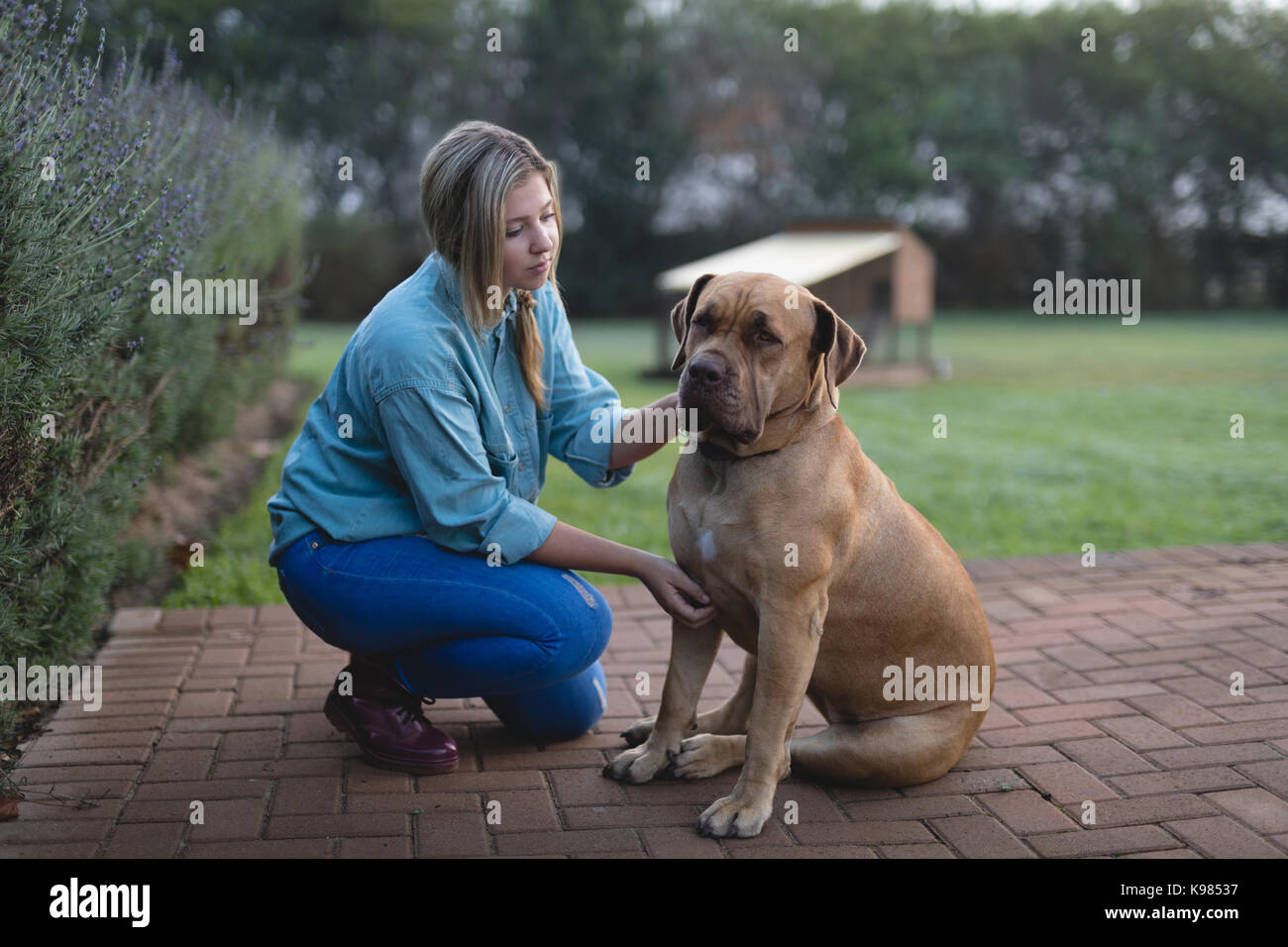Young woman crouching by dog at park Stock Photo - Alamy