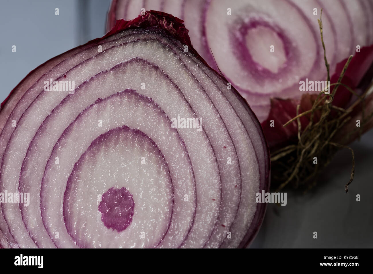 Cross section of a red onion Stock Photo - Alamy