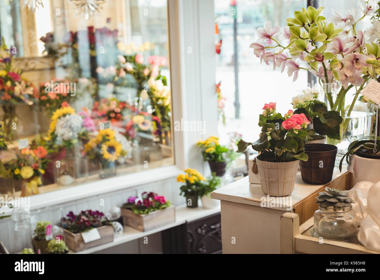 View of interior of empty flower shop Stock Photo - Alamy
