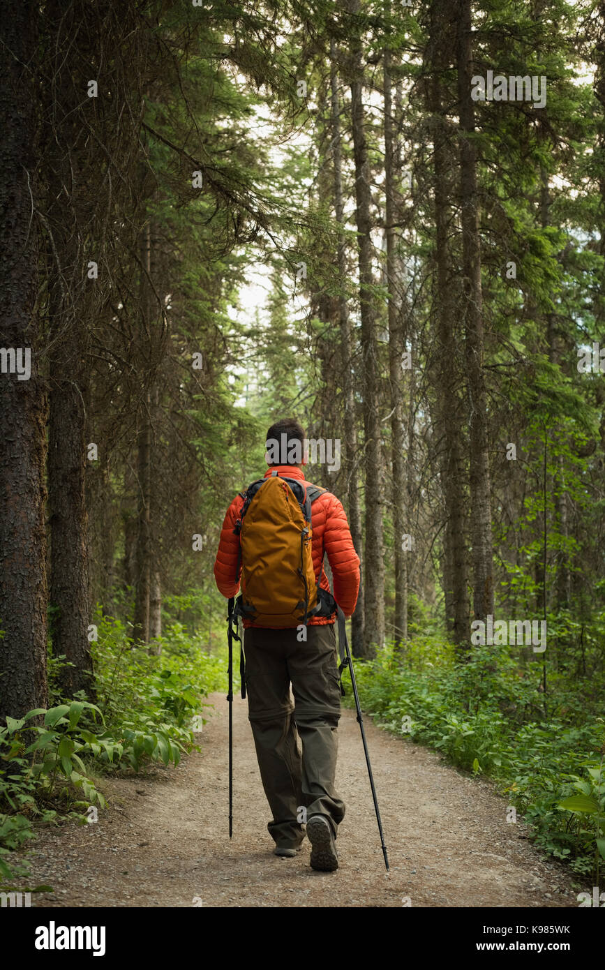 Hiker with backpack walking on the road through the forest Stock Photo ...