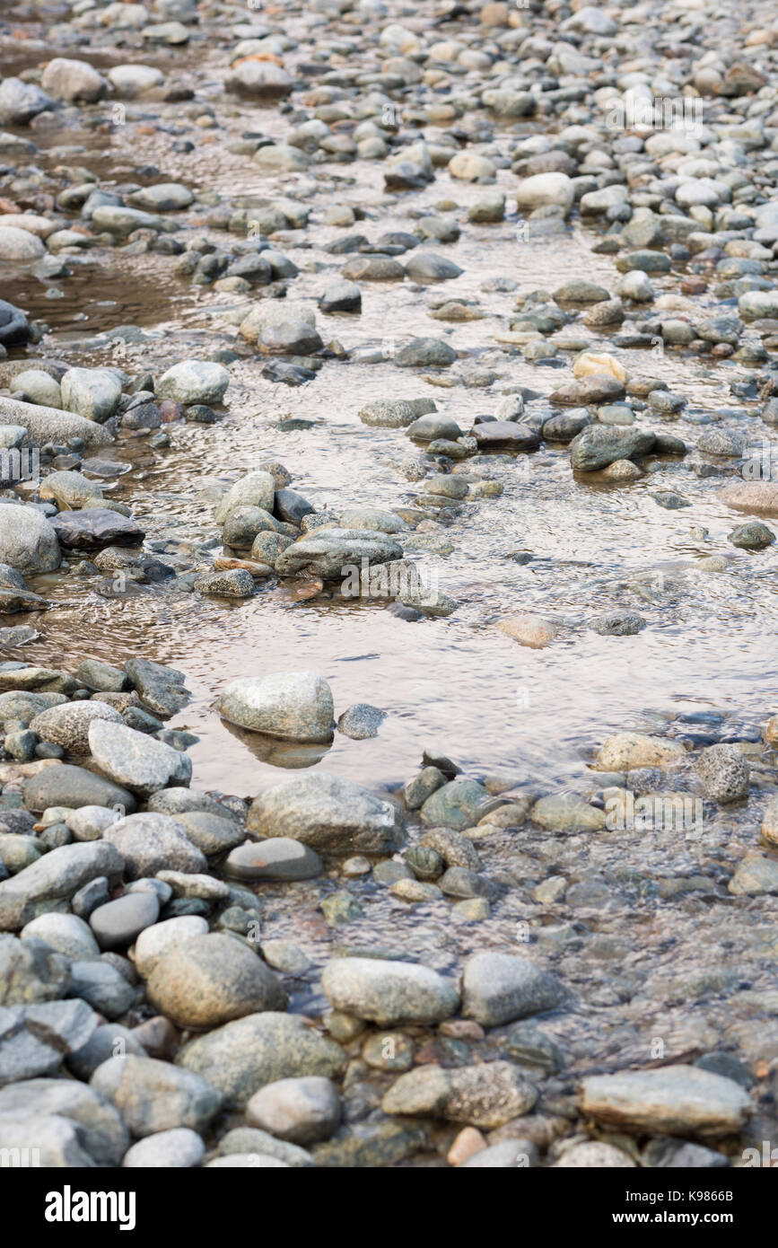 Close-up of stones in a riverbed Stock Photo - Alamy