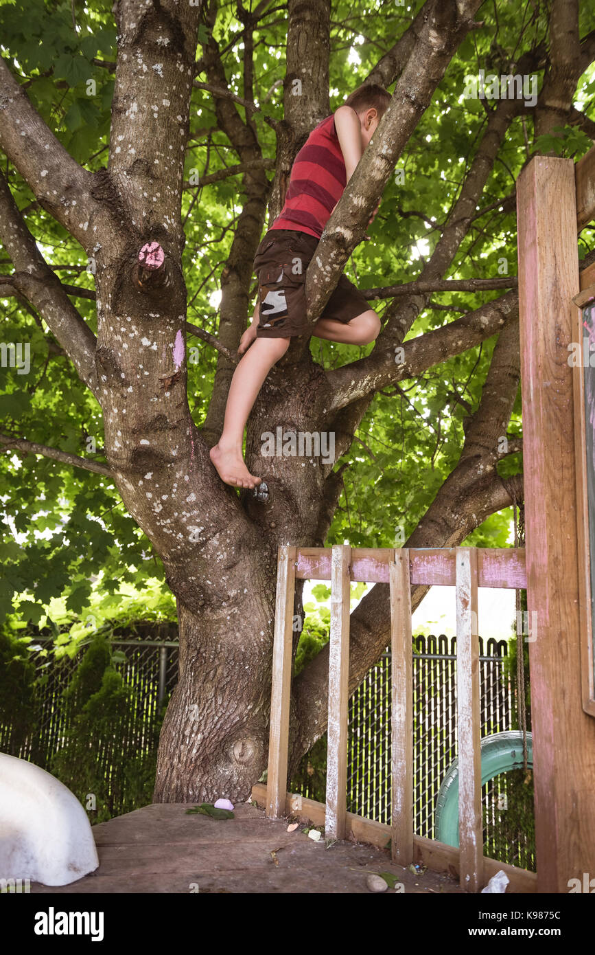 Boy climbing tree hi-res stock photography and images - Alamy