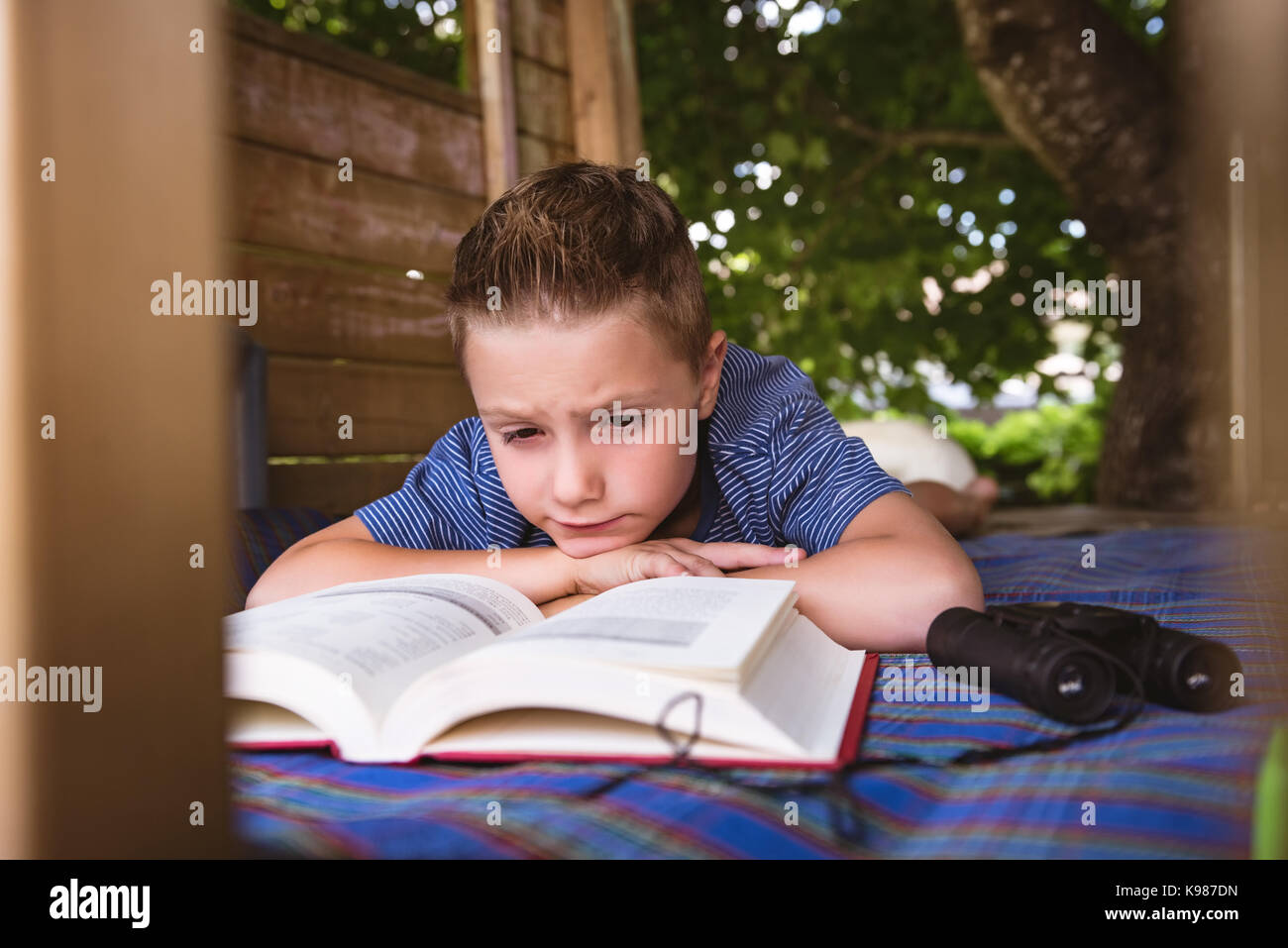 Reading log hi-res stock photography and images - Alamy