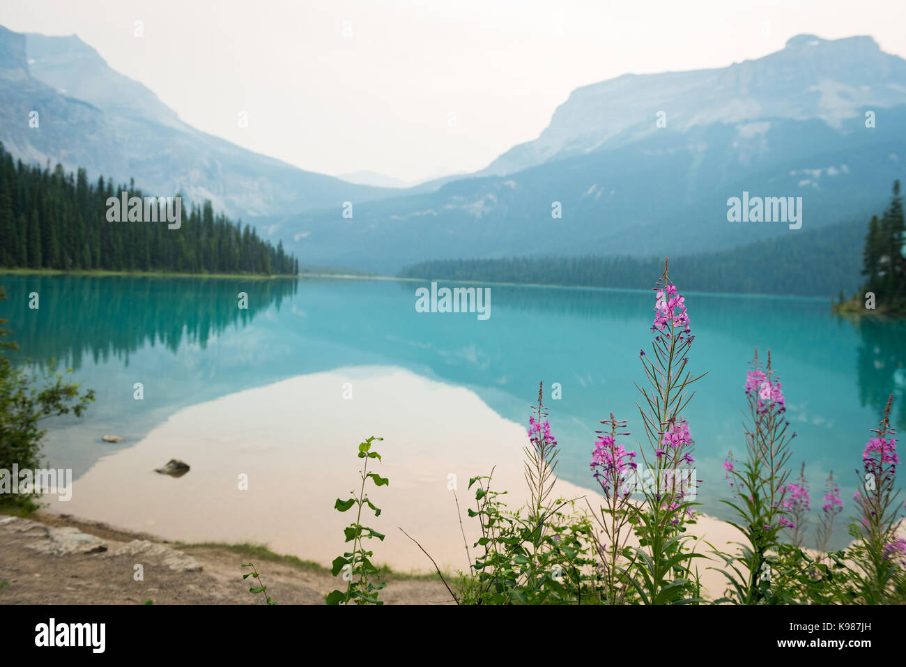 View of beautiful lake Stock Photo - Alamy