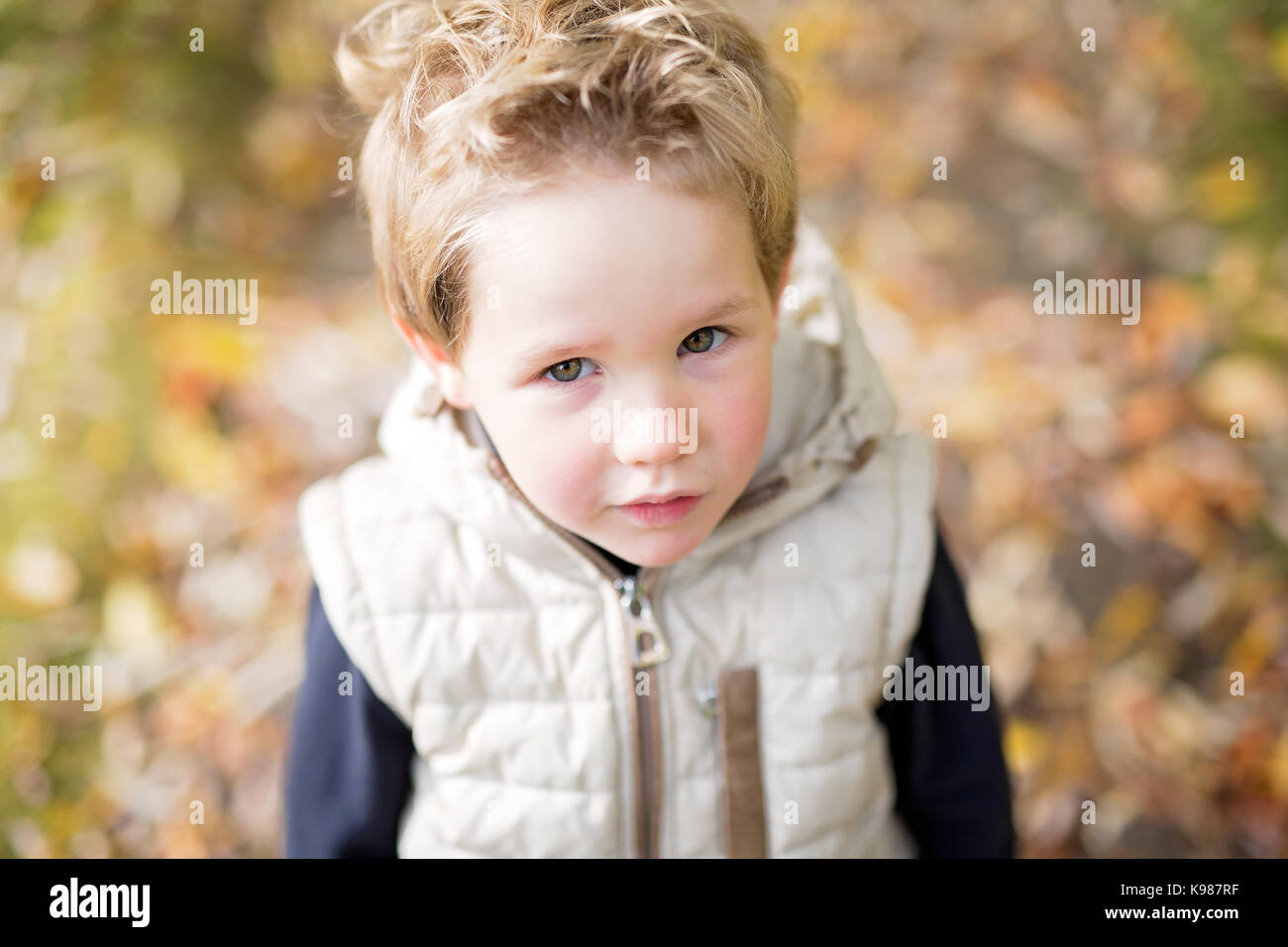 A boy in autumn season in a park Stock Photo - Alamy