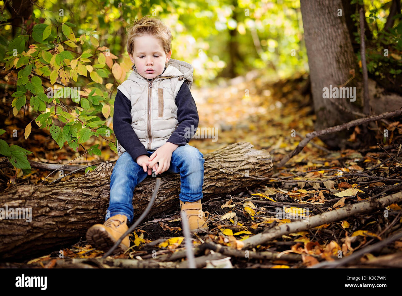A boy in autumn season in a park Stock Photo - Alamy