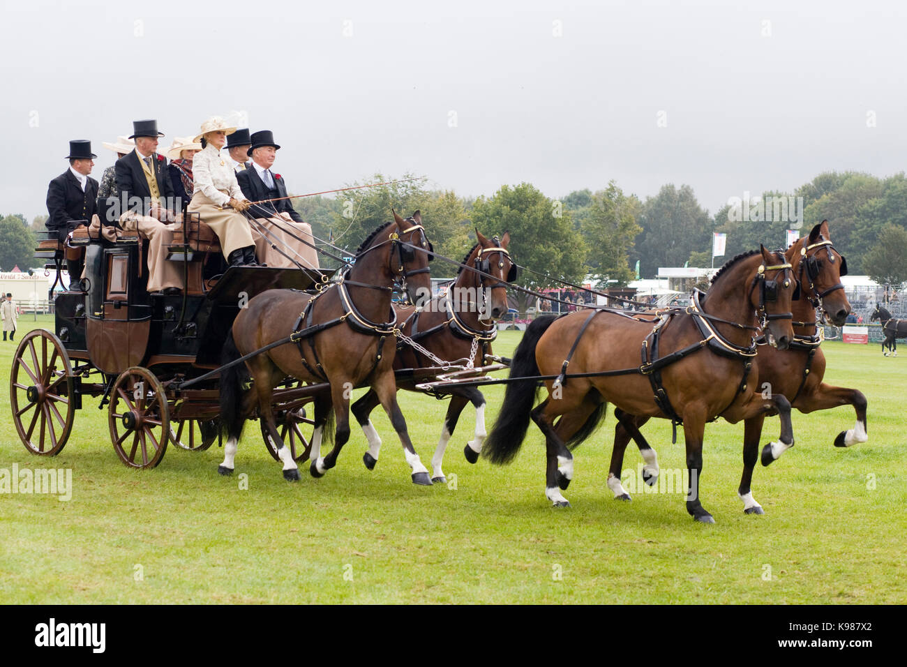 horses drawing a Victorian 8 seater Omnibus Carriage Stock Photo - Alamy