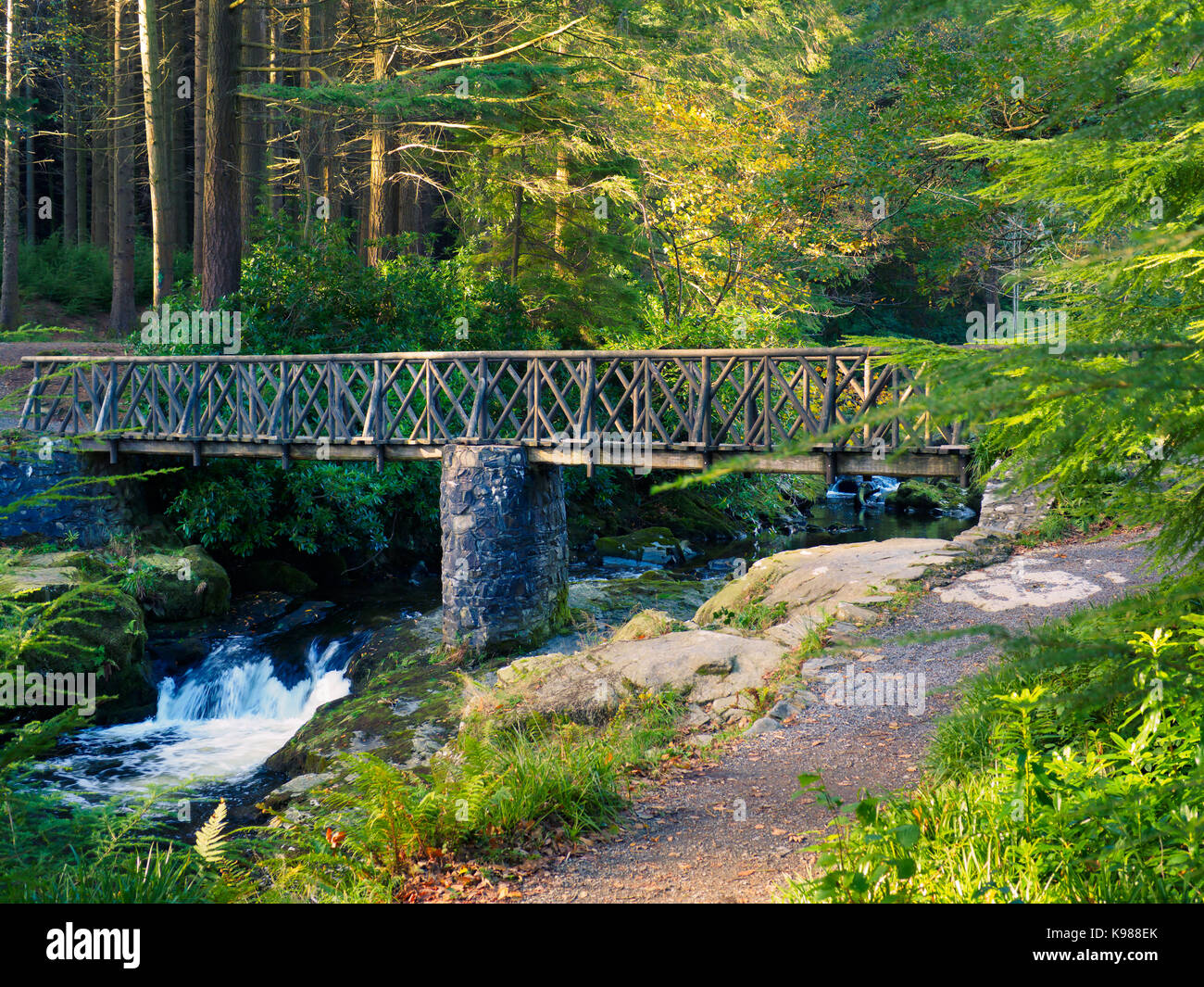 wooden bridge in forest park,Northern Ireland Stock Photo - Alamy