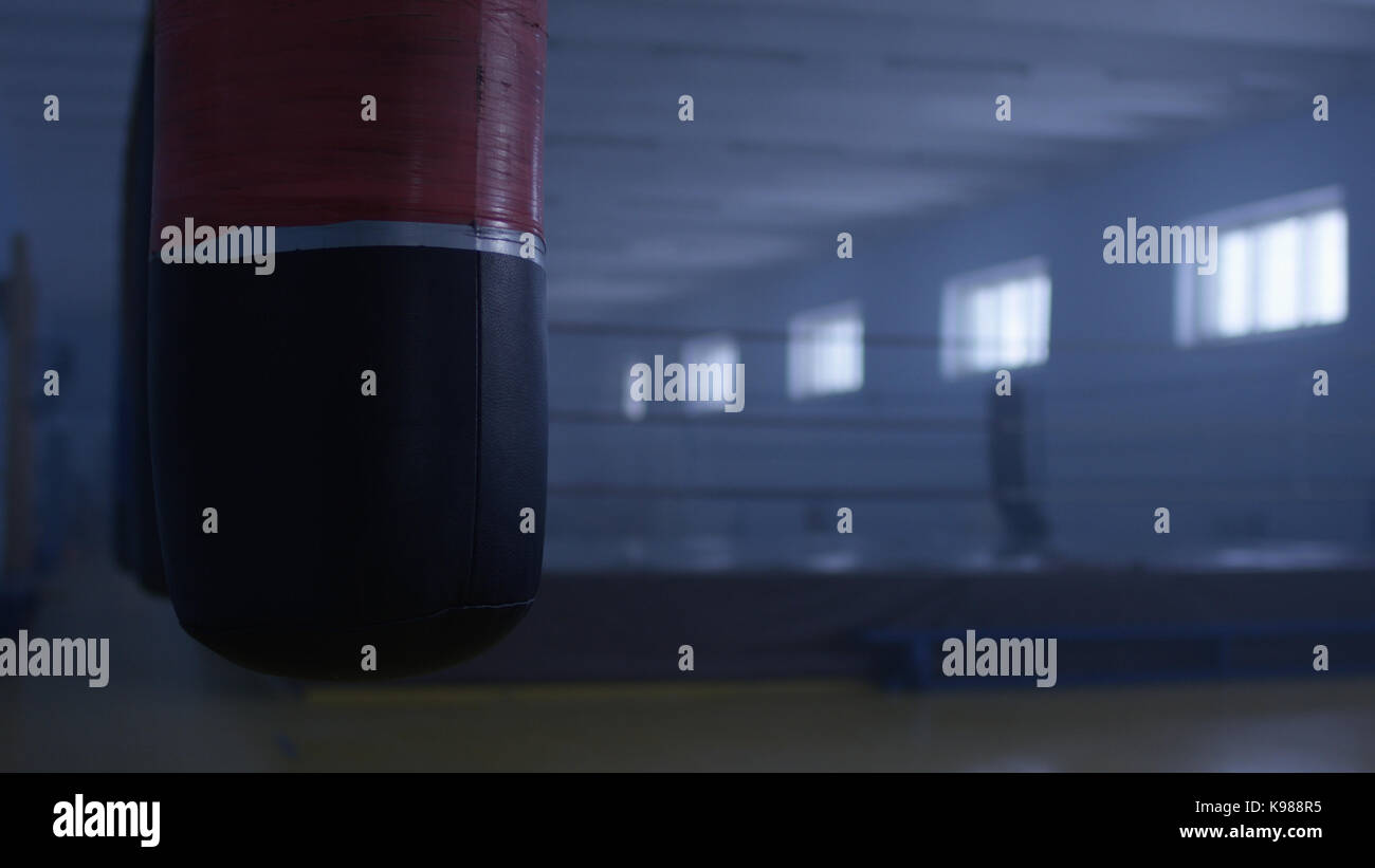 Interior of a fitness hall with a punching bag. Punching bag in the ...