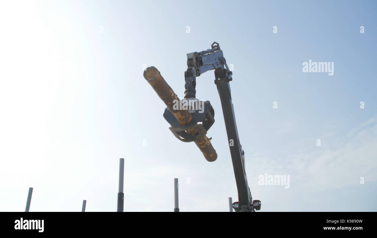 Log loader or forestry machine moves fresh cut logs for loading Stock ...
