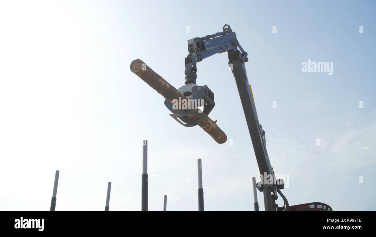 Log loader or forestry machine moves fresh cut logs for loading Stock ...