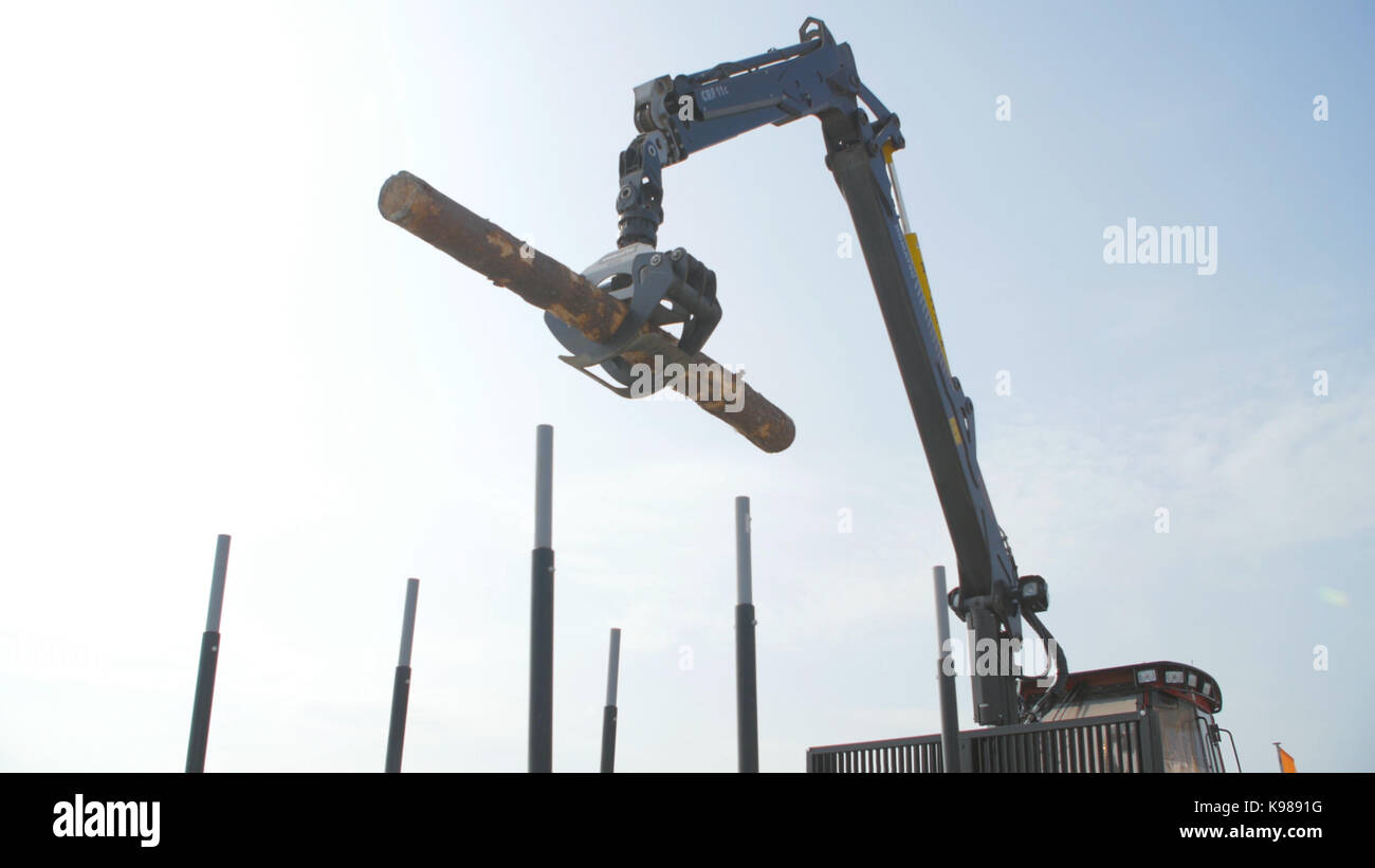 Log loader or forestry machine moves fresh cut logs for loading Stock ...